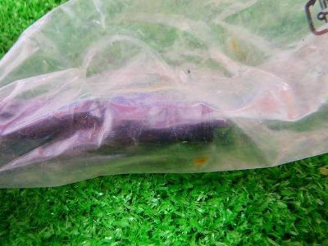 1HONDA スピードメーターケーブル | 新古品 | アップガレージ ライダース奈良四条店 | バイク用品 メーター その他メーター(二輪 ...