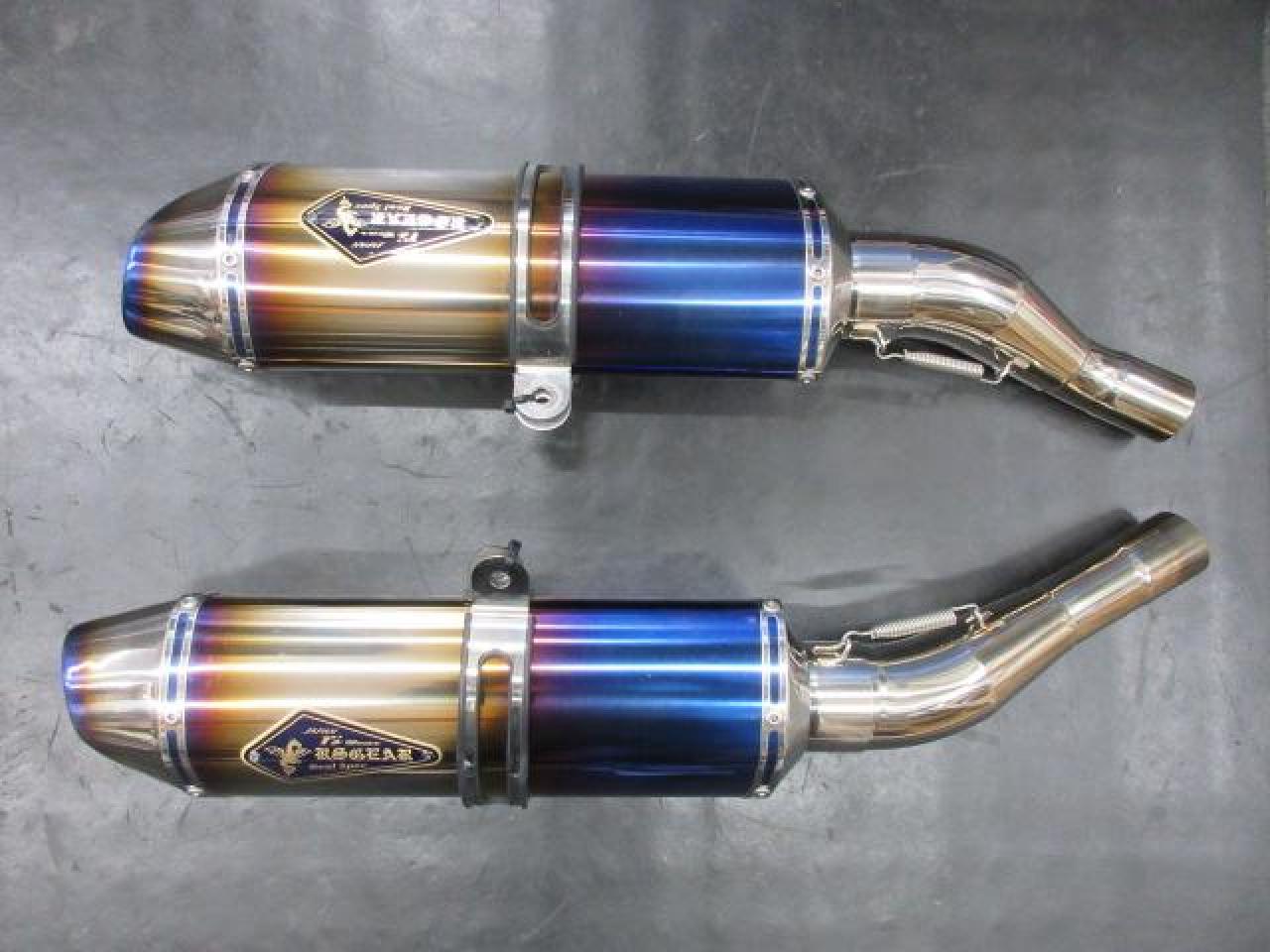 r’s GEAR(アールズギア) RK30-03SD リアルスペックスリップオン ツインチタンドラッグブルー Ninja1000(’17 ...