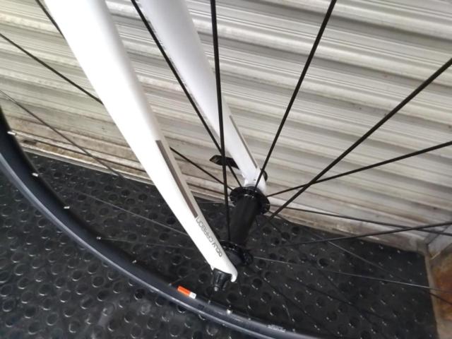 TREK DOMANE AL3 アルミフレームロードバイク クリスタルホワイト 2019年モデル/メーカーサイズ44 定価105.840円 ★ ...