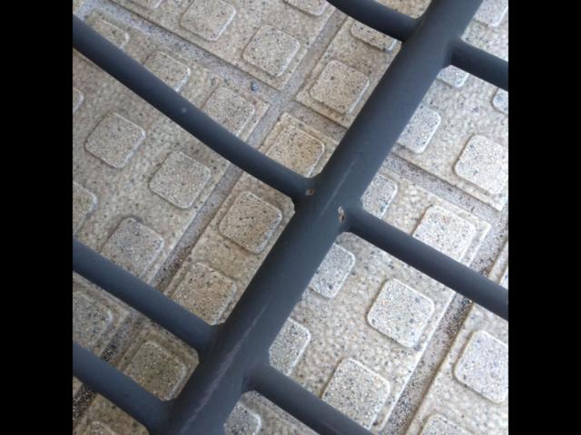 【TERZO】EA317 ルーフラック | 中古品 | アップガレージ 福井店 | カー用品 キャリア その他キャリアを通販で購入する | 中古カー＆バイク用品の販売ならアップガレージ