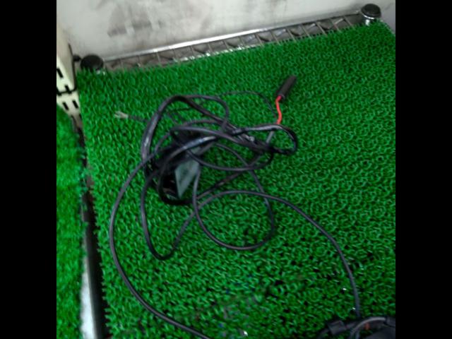 ワンオフ バックフォグ/ローマウントランプ | 中古品 | アップガレージ 国立府中インター店 | カー用品 その他(カスタム・チューニング ...